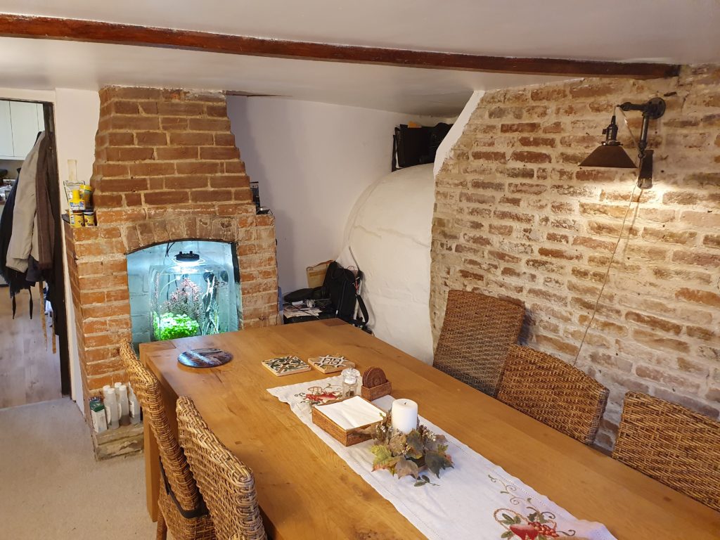 Fireplace aquarium - Adventures with a planted aquarium