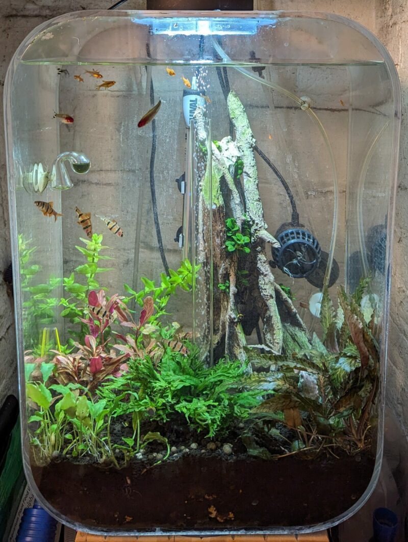 Big rescape - Fireplace aquarium